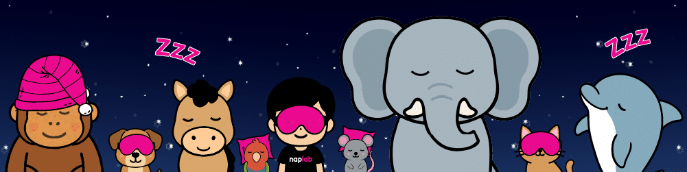 Animal Sleep Schedules & Sleep Habits - NapLab